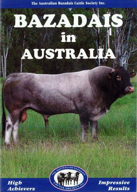 Bazadais Magazines | The Australian Bazadais Cattle Society