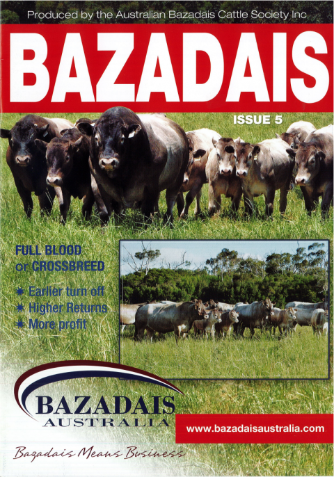 Bazadais Magazines | The Australian Bazadais Cattle Society