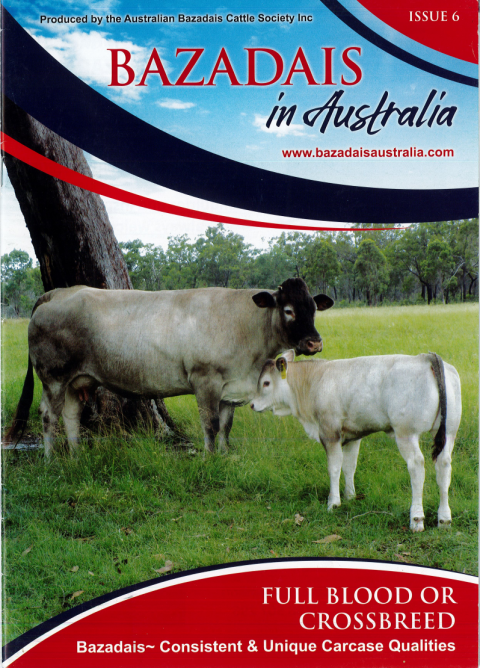 Bazadais Magazines | The Australian Bazadais Cattle Society
